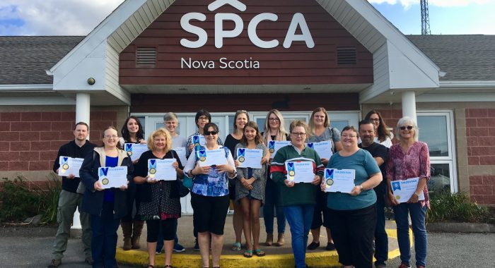 7 Reasons to Volunteer at the Nova Scotia SPCA - Nova Scotia SPCA