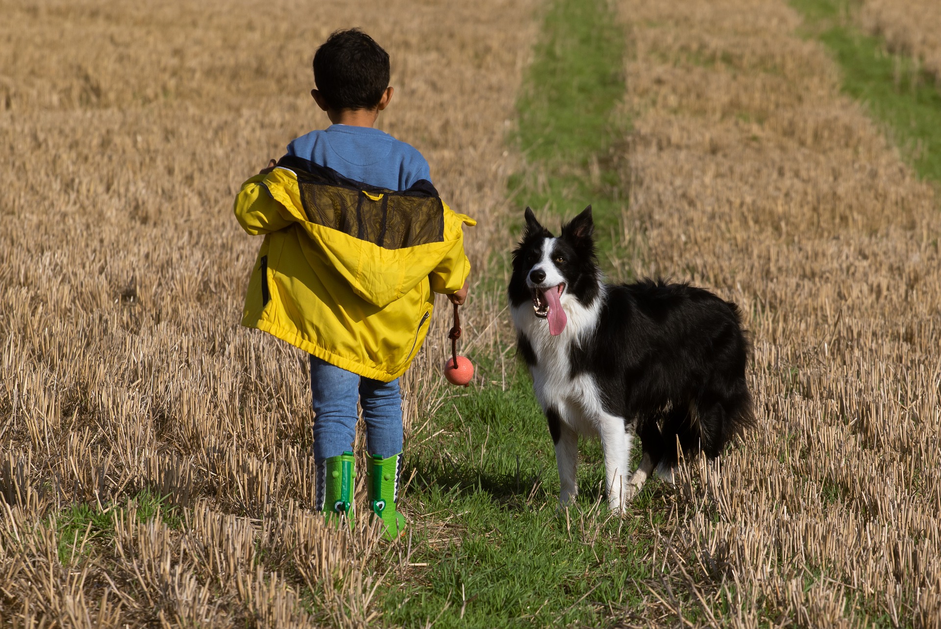 Teaching Kids to be Kind to Animals - Nova Scotia SPCA