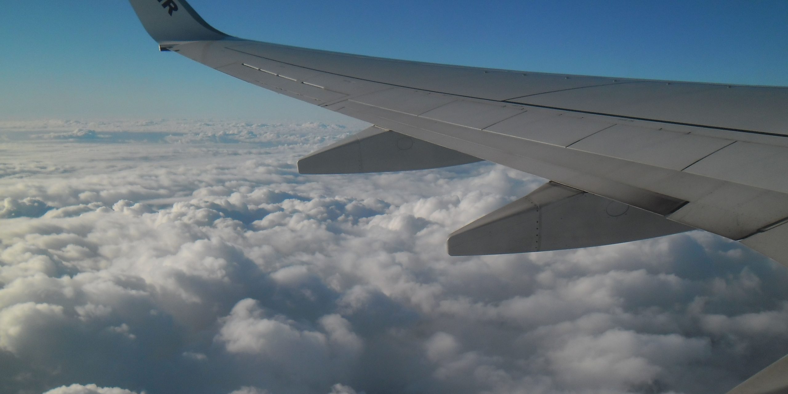 A High-Tech High-Flying Kitty - Nova Scotia SPCA