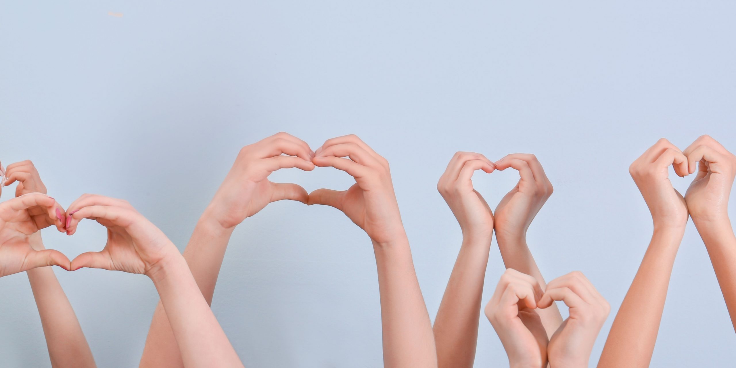 Caring Heart, Caring Hands - Nova Scotia SPCA