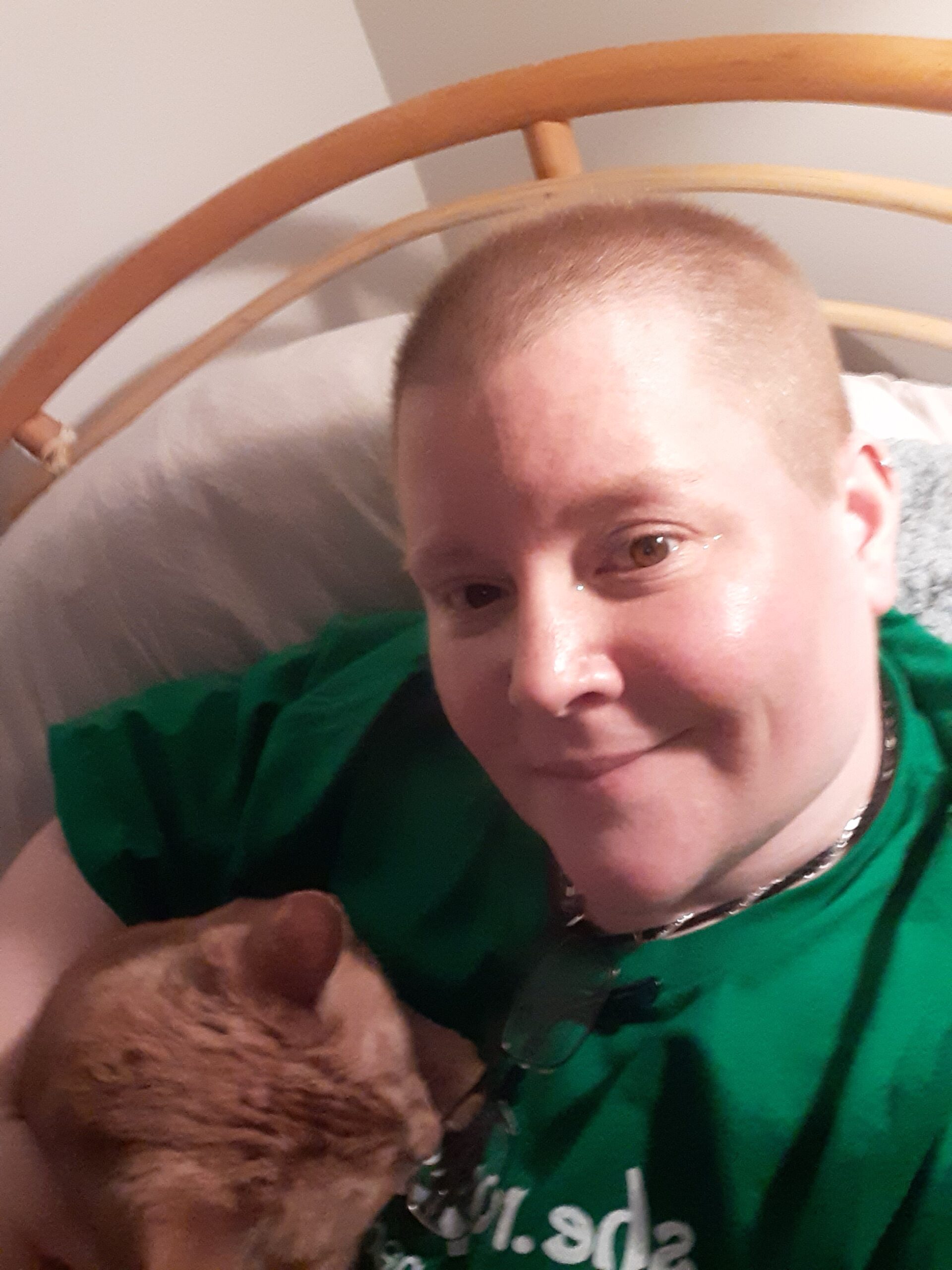 One Garfield Lookalike Changes Two Lives - Nova Scotia SPCA