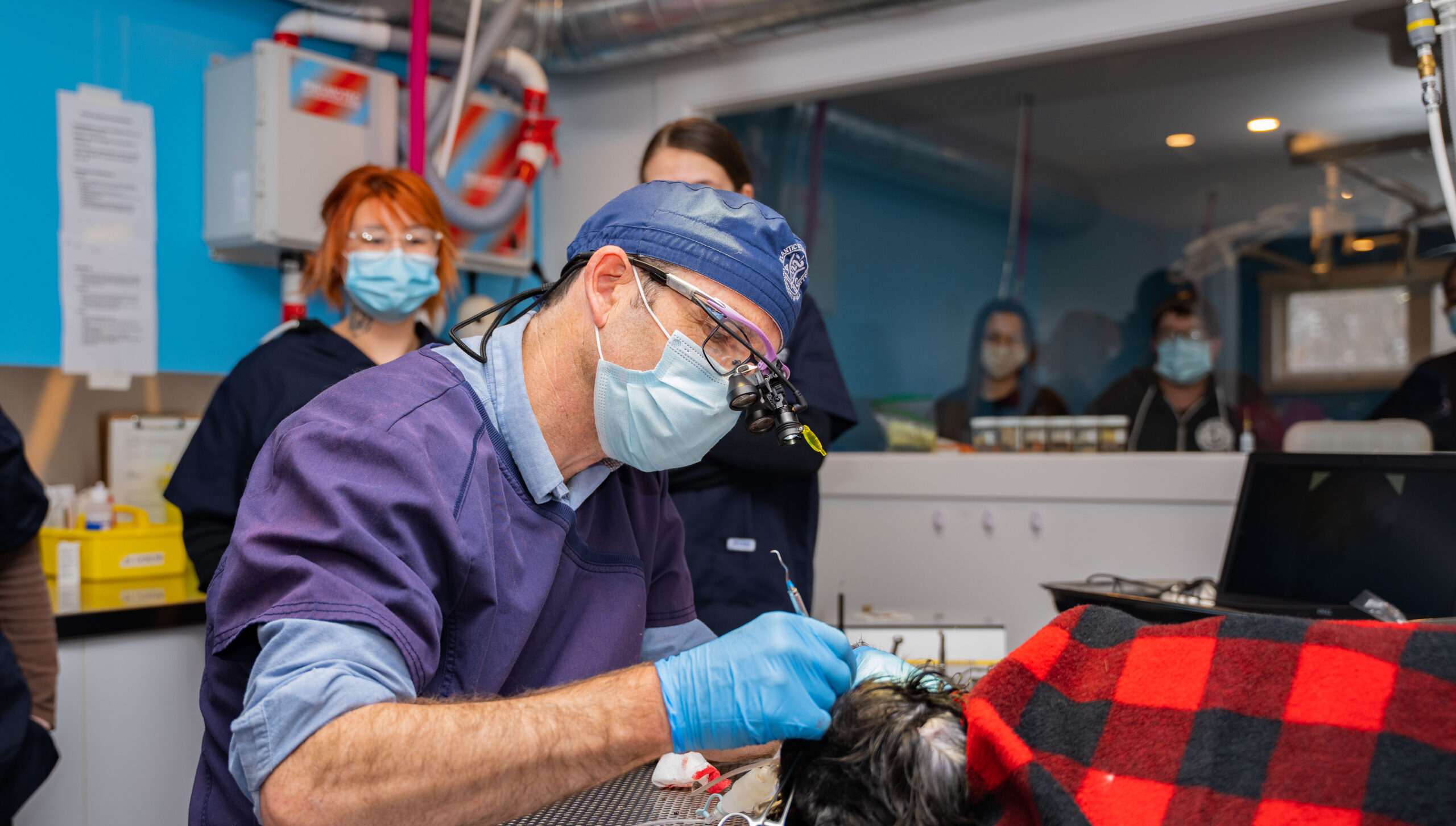 Dwight ‘Pickle’ Schrute Visits the SPCA Vet Hospital - Nova Scotia SPCA
