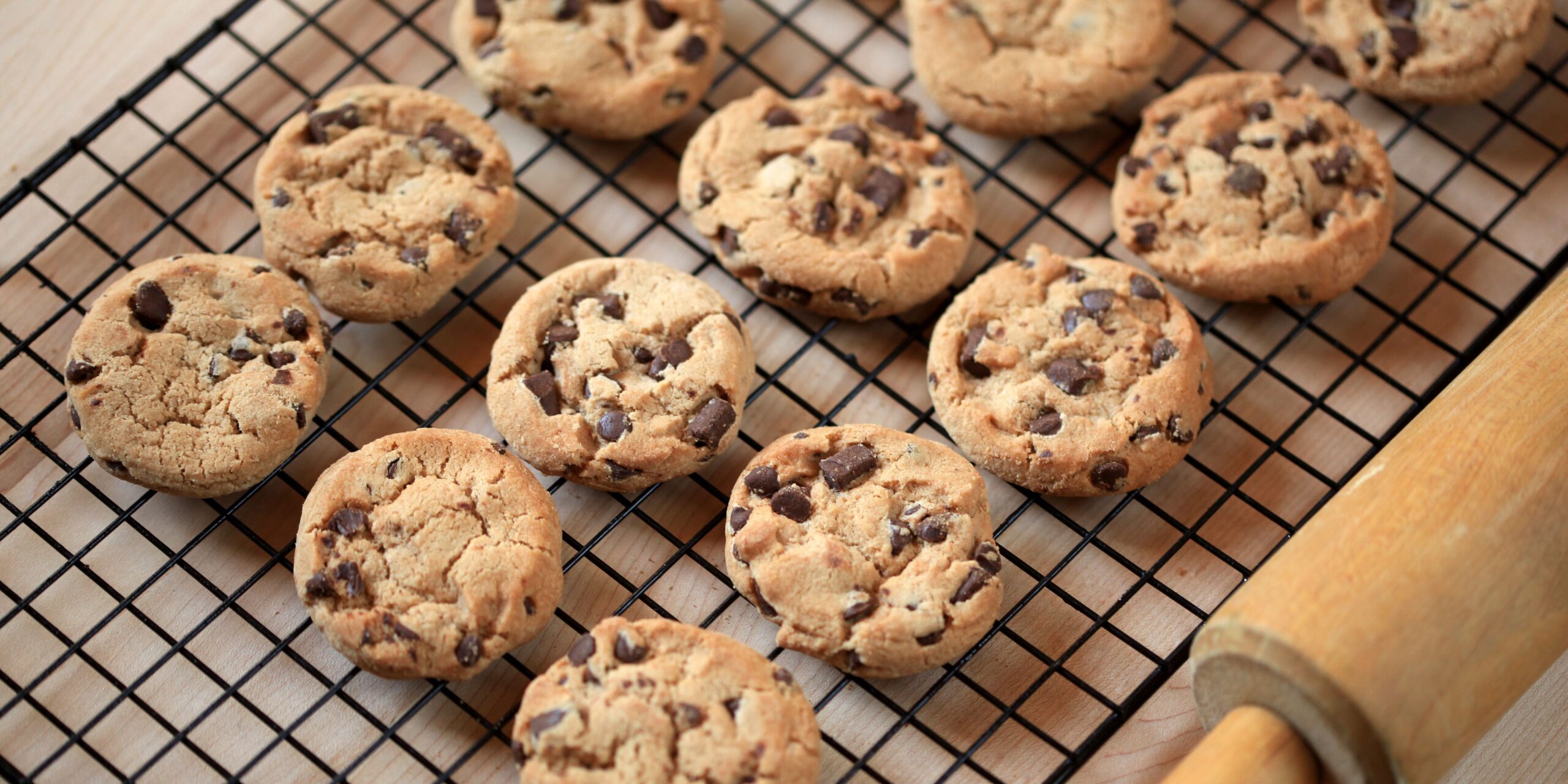 Theo’s Cookies Make Life Sweeter for SPCA Animals - Nova Scotia SPCA