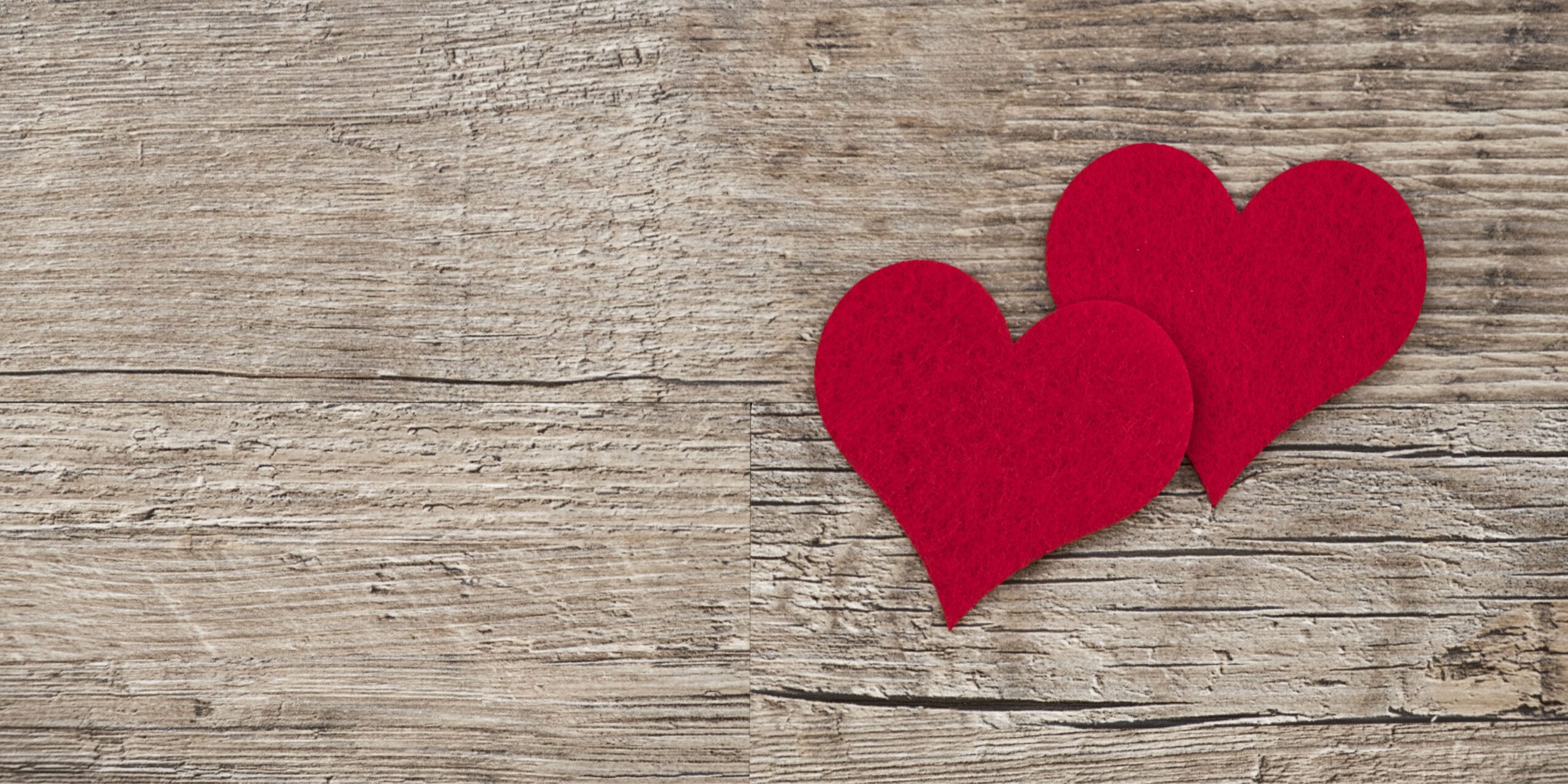 A True Heart Connection - Nova Scotia SPCA