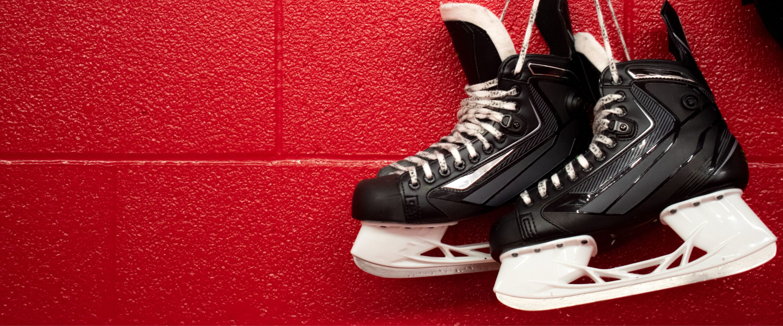 A Night of Laughs for a Great Cause - Nova Scotia SPCA