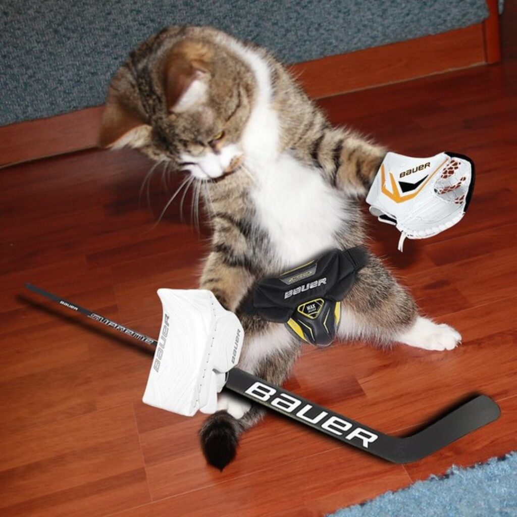 A Night of Laughs for a Great Cause - Nova Scotia SPCA