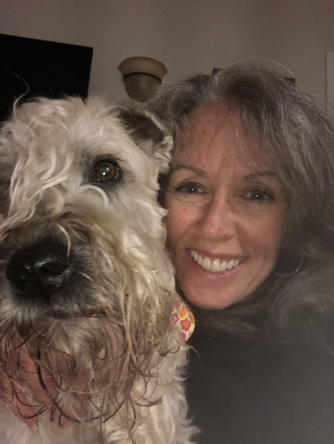 Where Sales and Compassion Meet: Heidi Fennell’s Journey at the SPCA ...