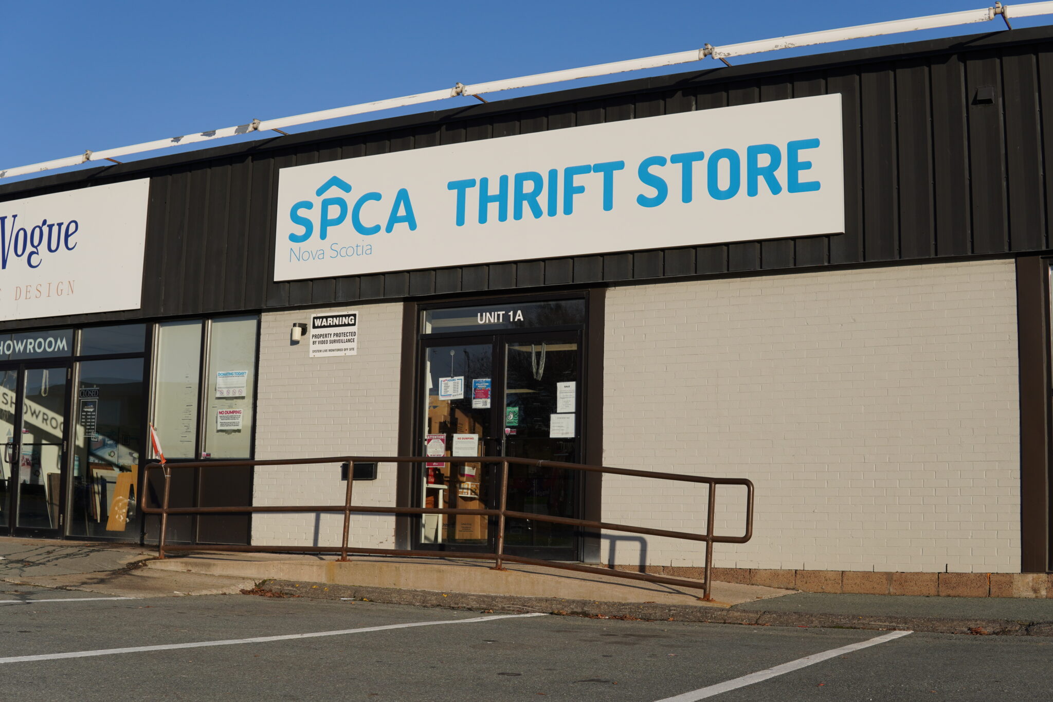 Where Sales and Compassion Meet: Heidi Fennell’s Journey at the SPCA ...