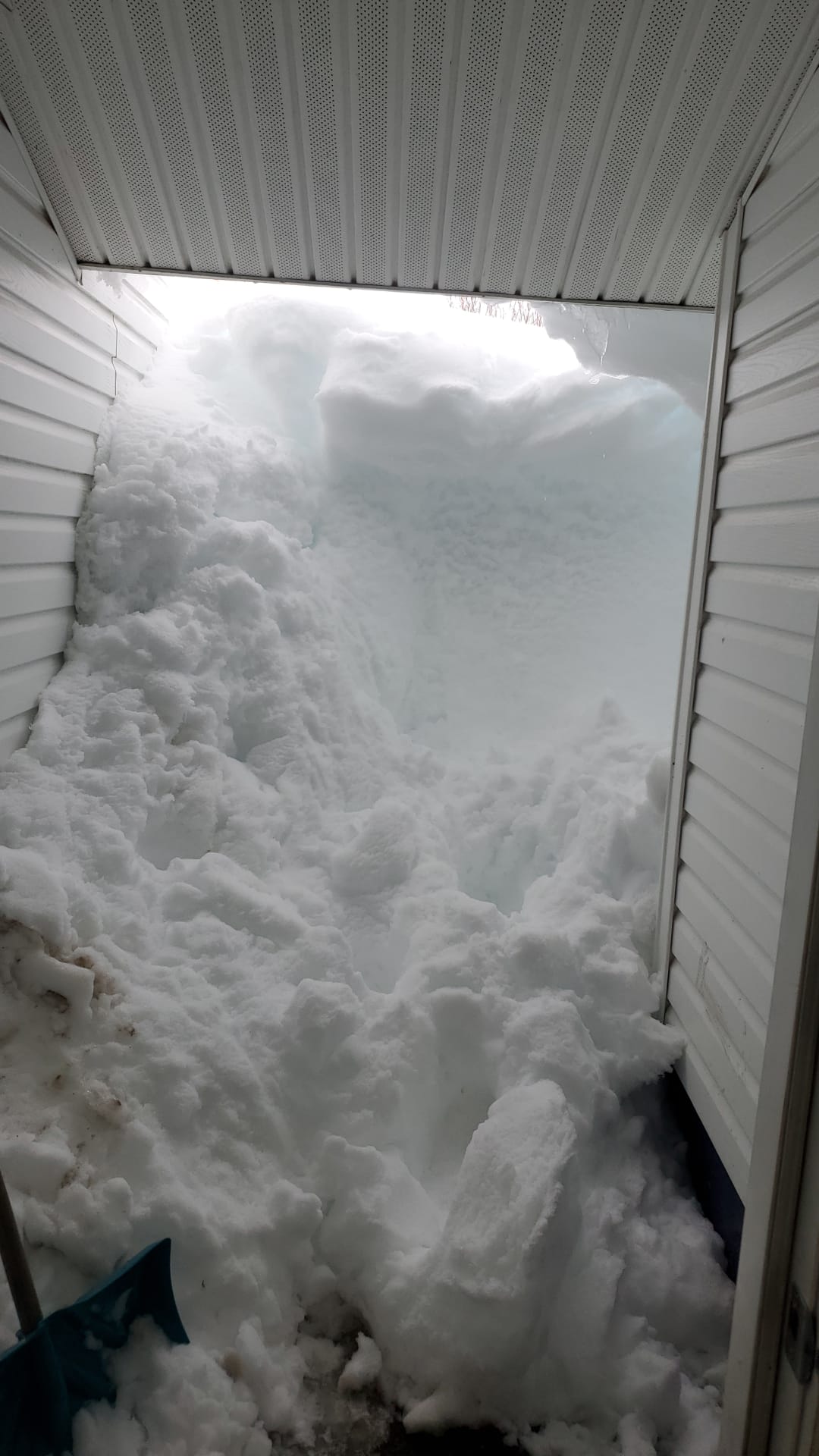 Resilience in the Blizzard: A Tale of Community, Courage, and ...