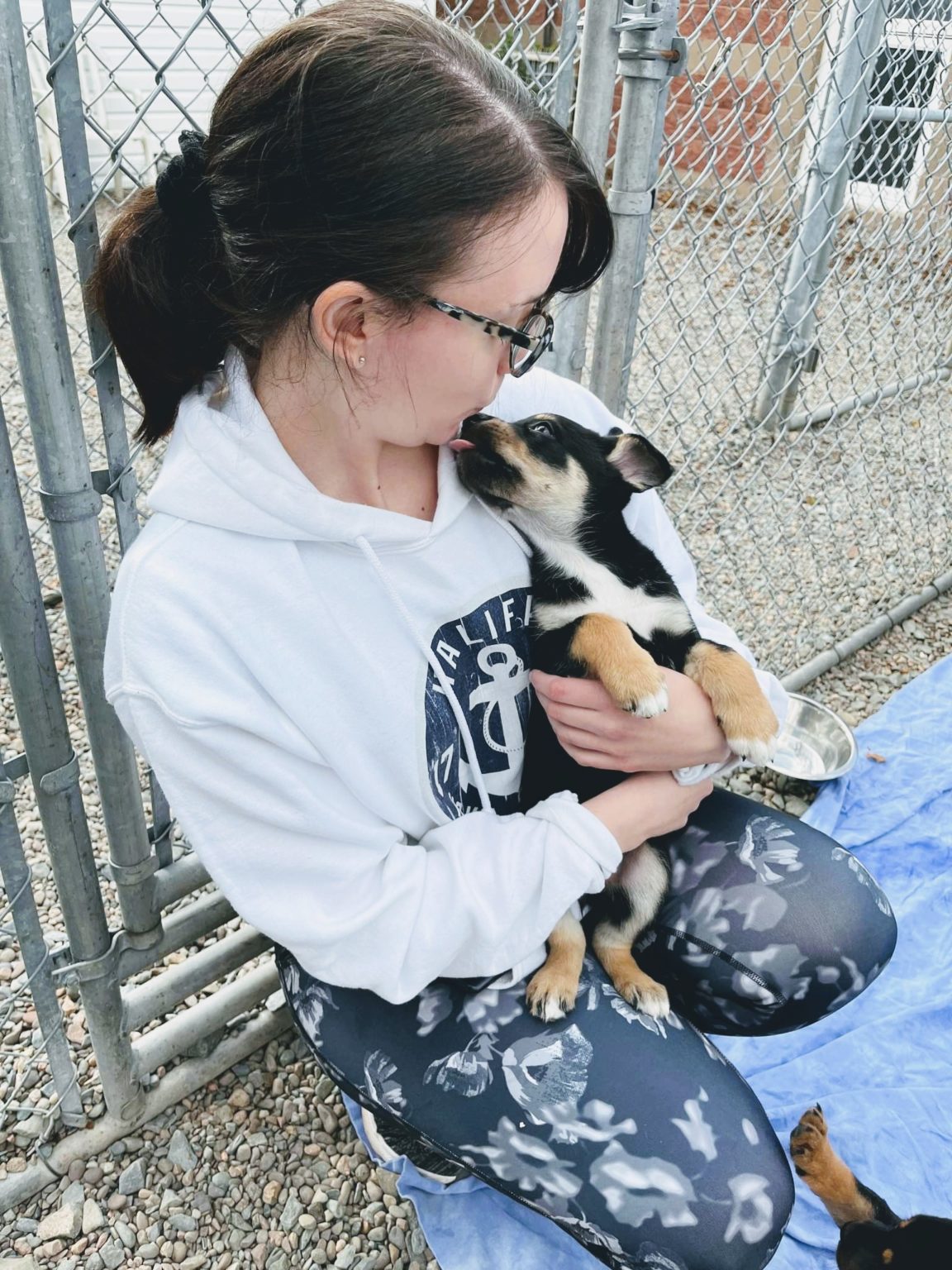 A Decade of Devotion: Kara’s Volunteer Journey with the SPCA - Nova ...