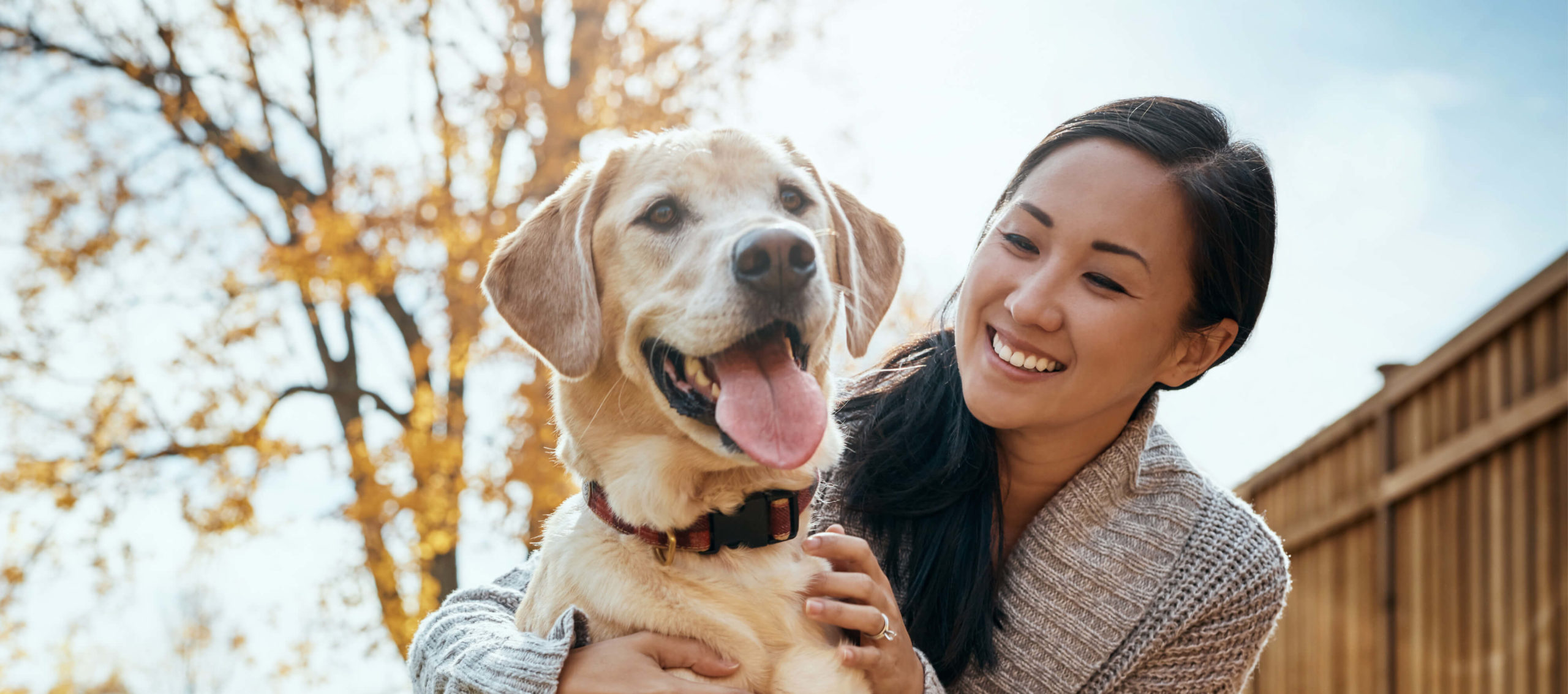 Nova Scotia SPCA | Saving Lives. Creating Families.