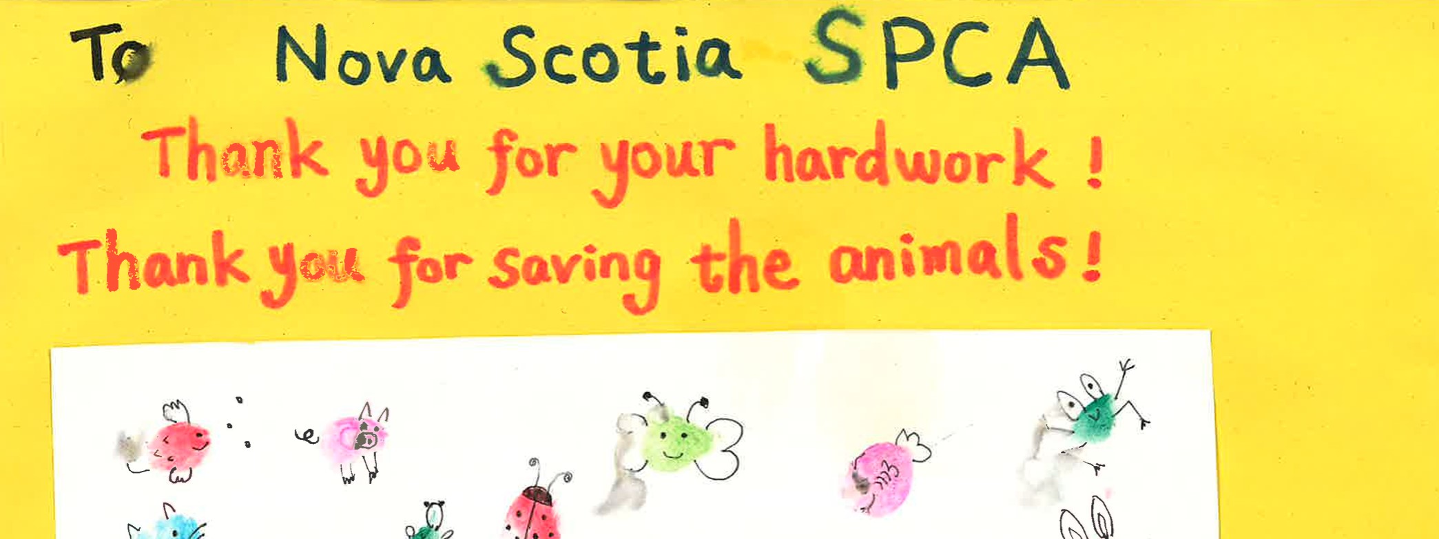 Policy for Rescuing Paws - Nova Scotia SPCA