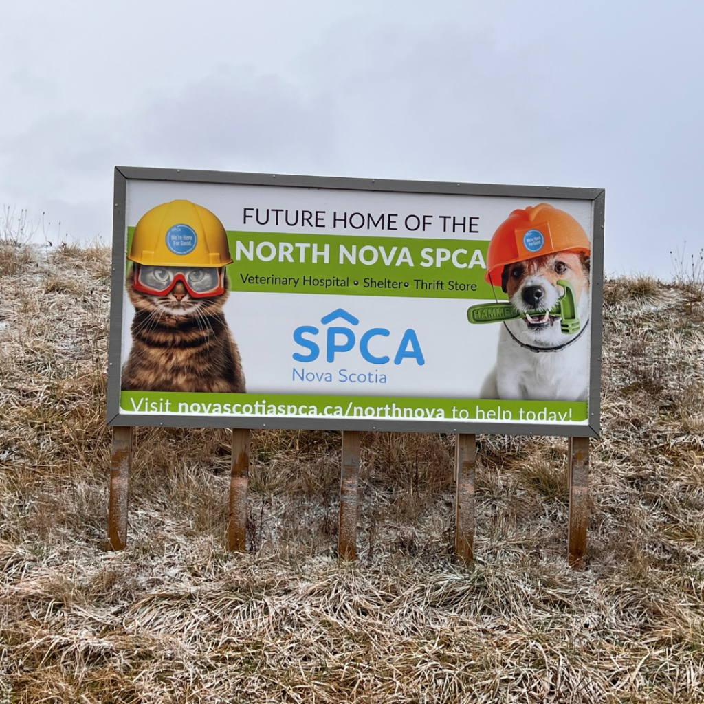 Raising a New Roof: Helping Build the Gift of a Lifetime - Nova Scotia SPCA