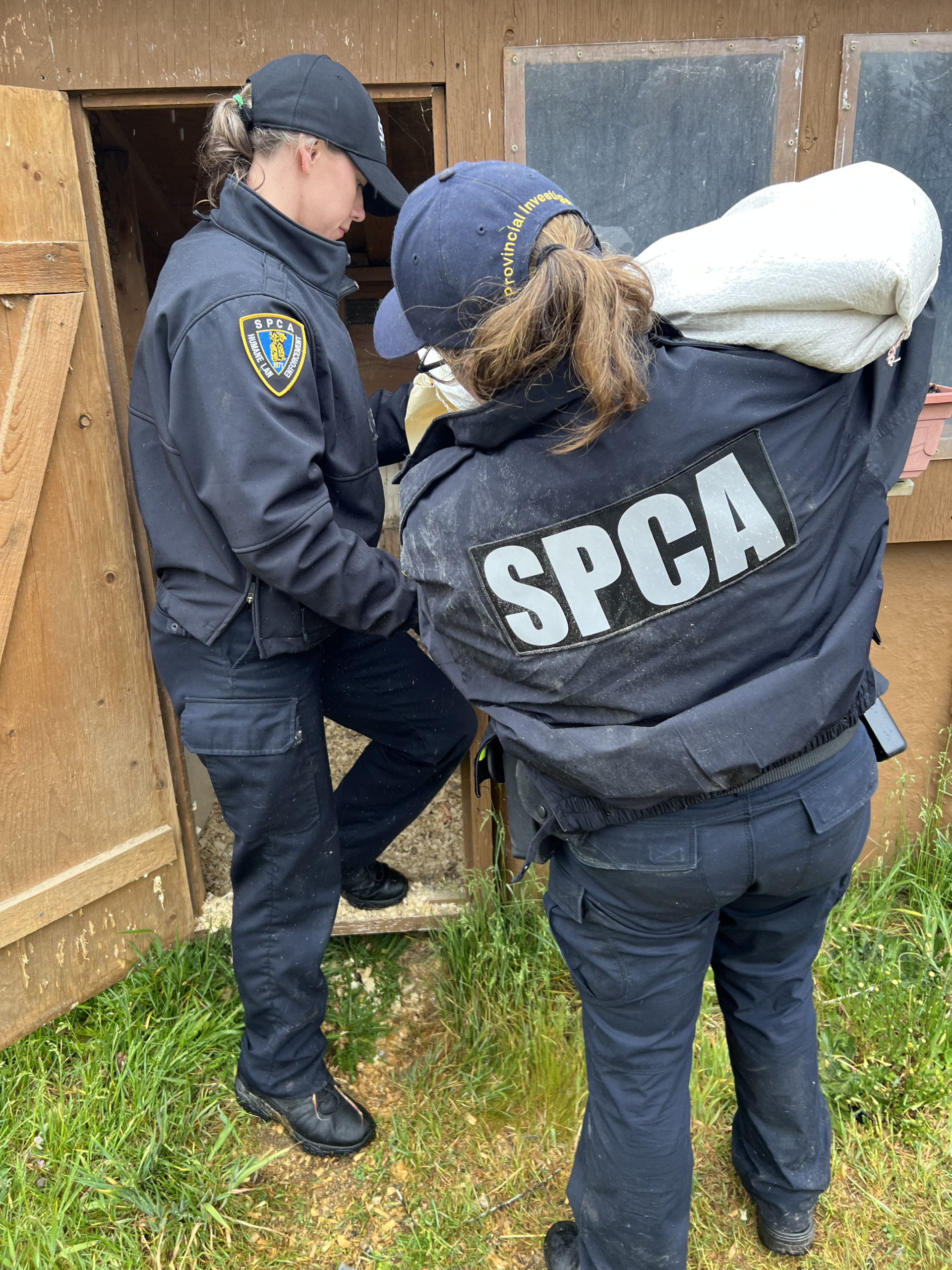 Real Life PAW Patrol - Nova Scotia SPCA