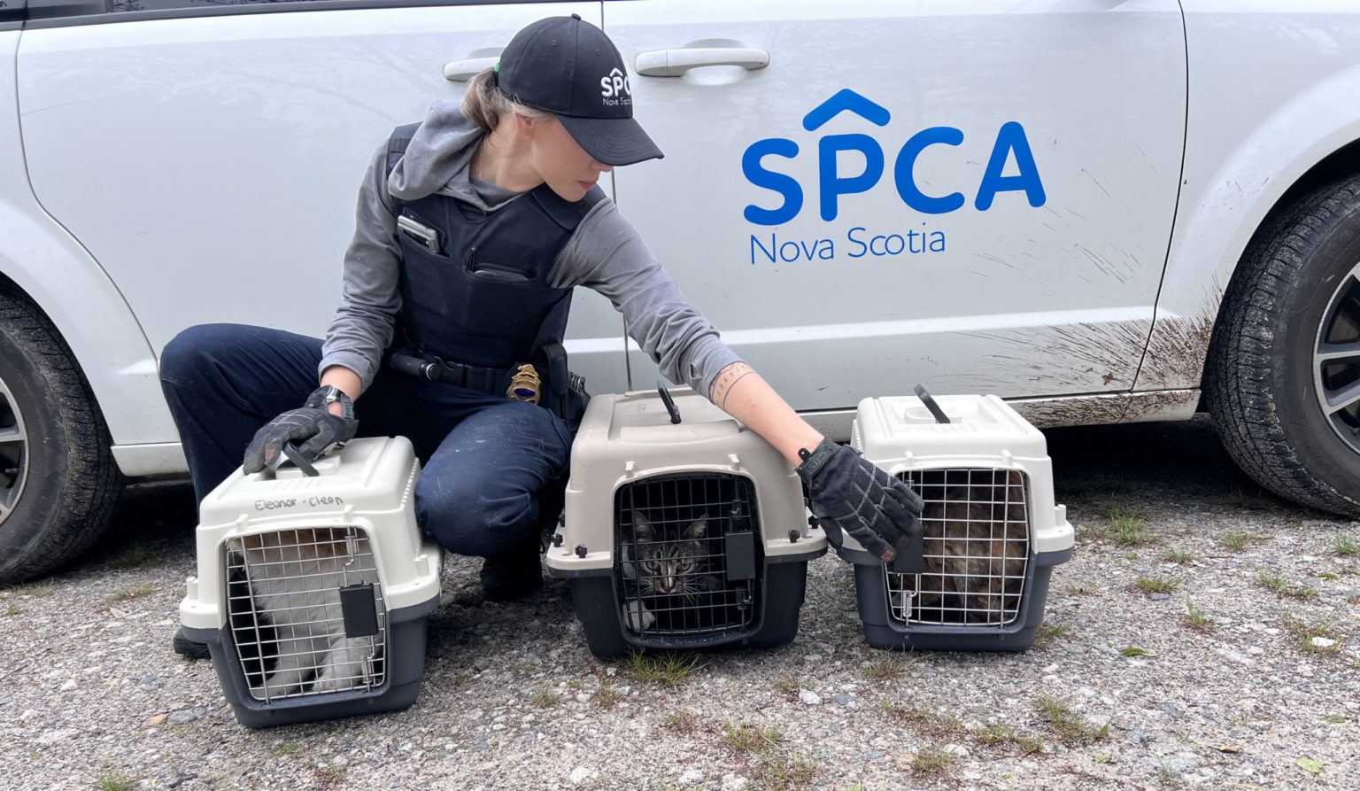 Real Life PAW Patrol - Nova Scotia SPCA