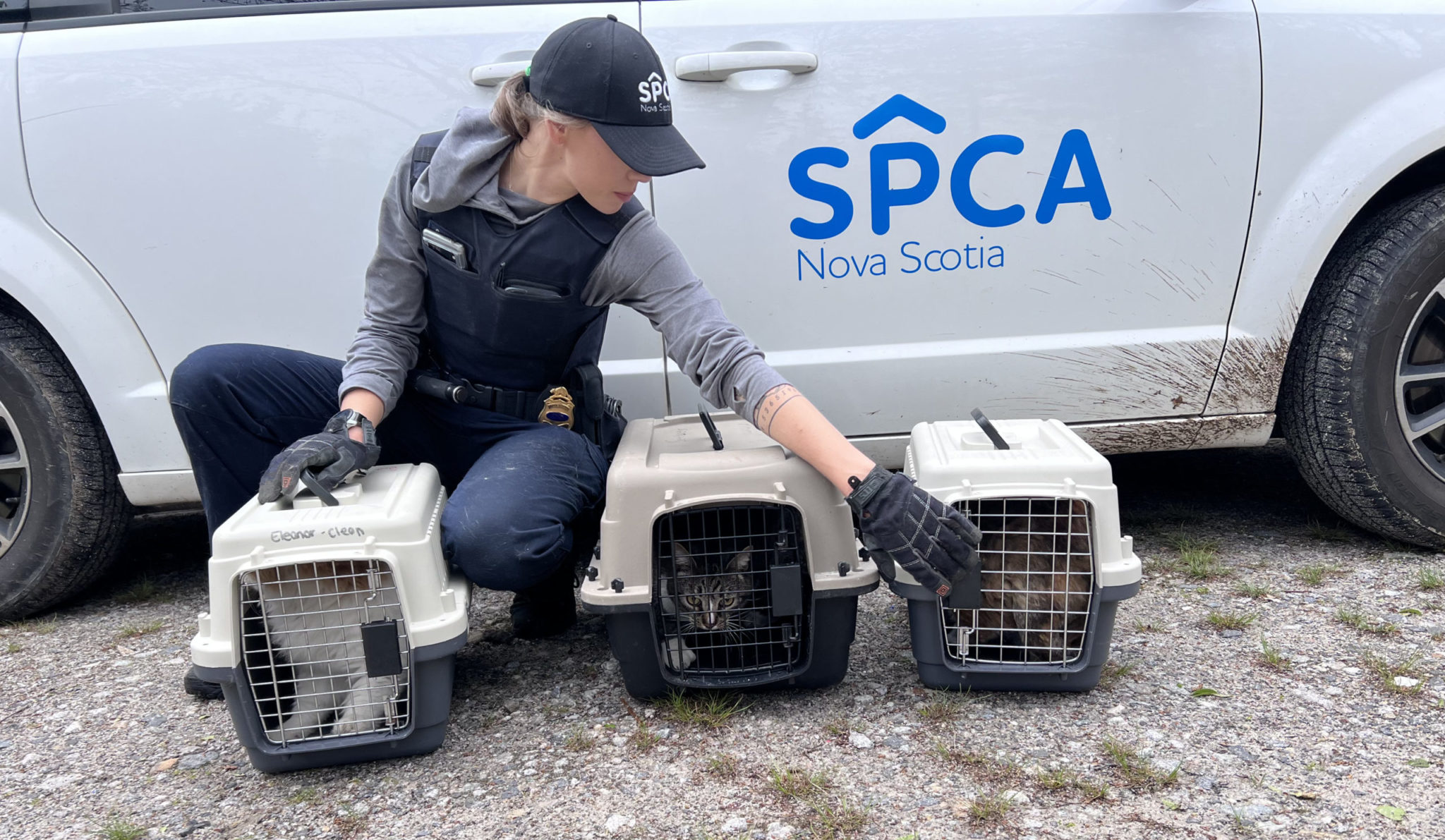Real Life PAW Patrol - Nova Scotia SPCA